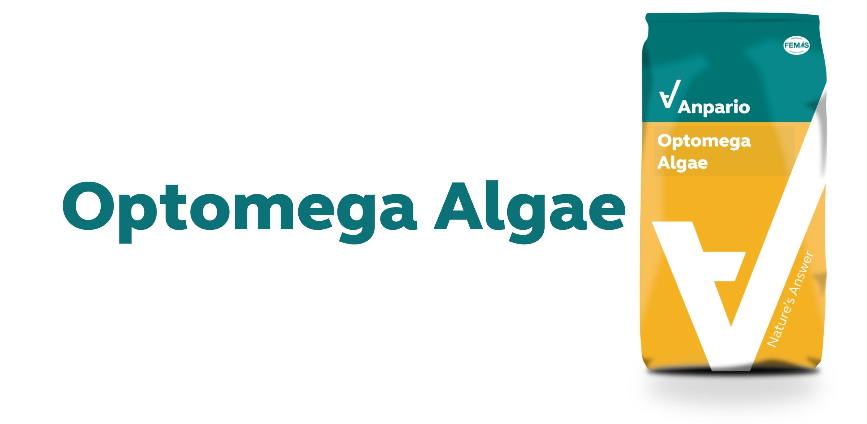 Optomega Algae – Anpario Australia