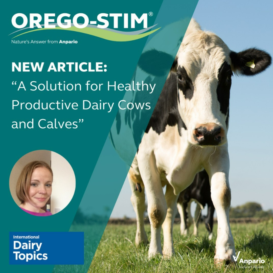 A solution for healthy productive dairy cows and calves – Anpario Australia