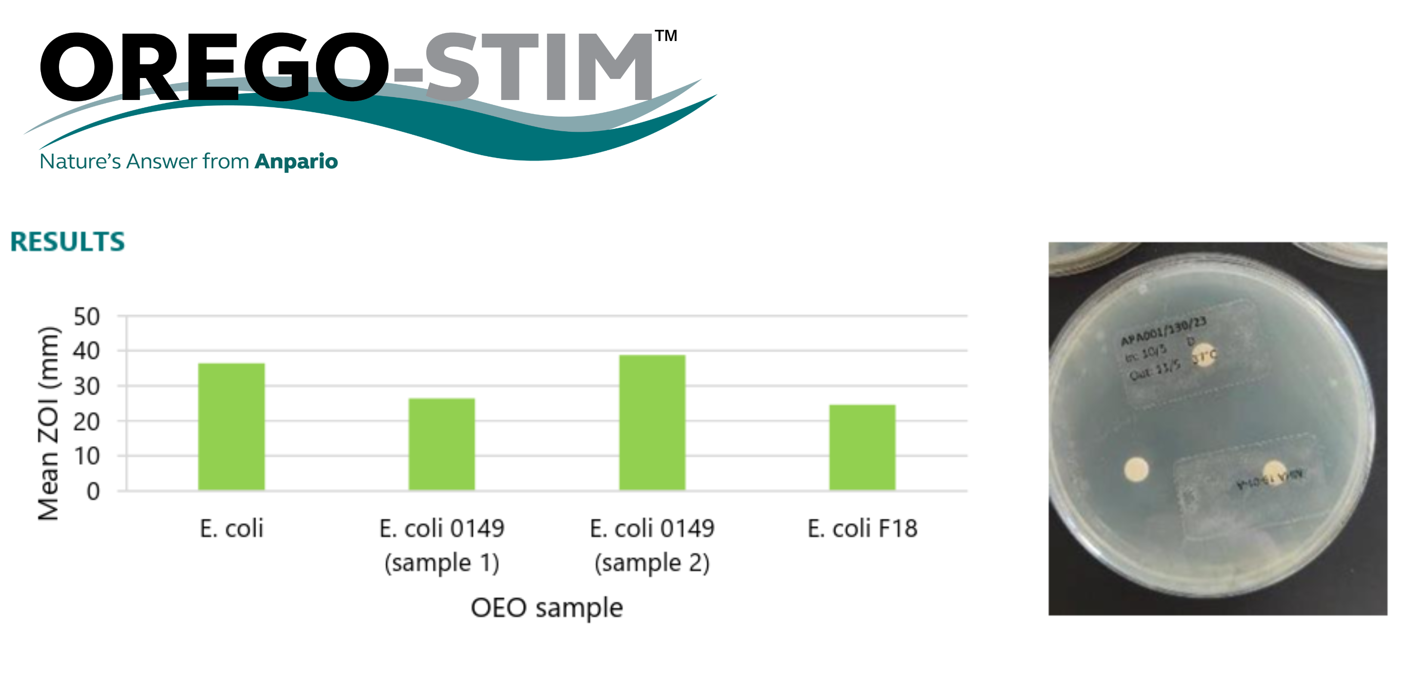 OREGANO ESSENTIAL OIL ANTIBACTERIAL EFFICACY AGAINST MULTIPLE E. COLI ...
