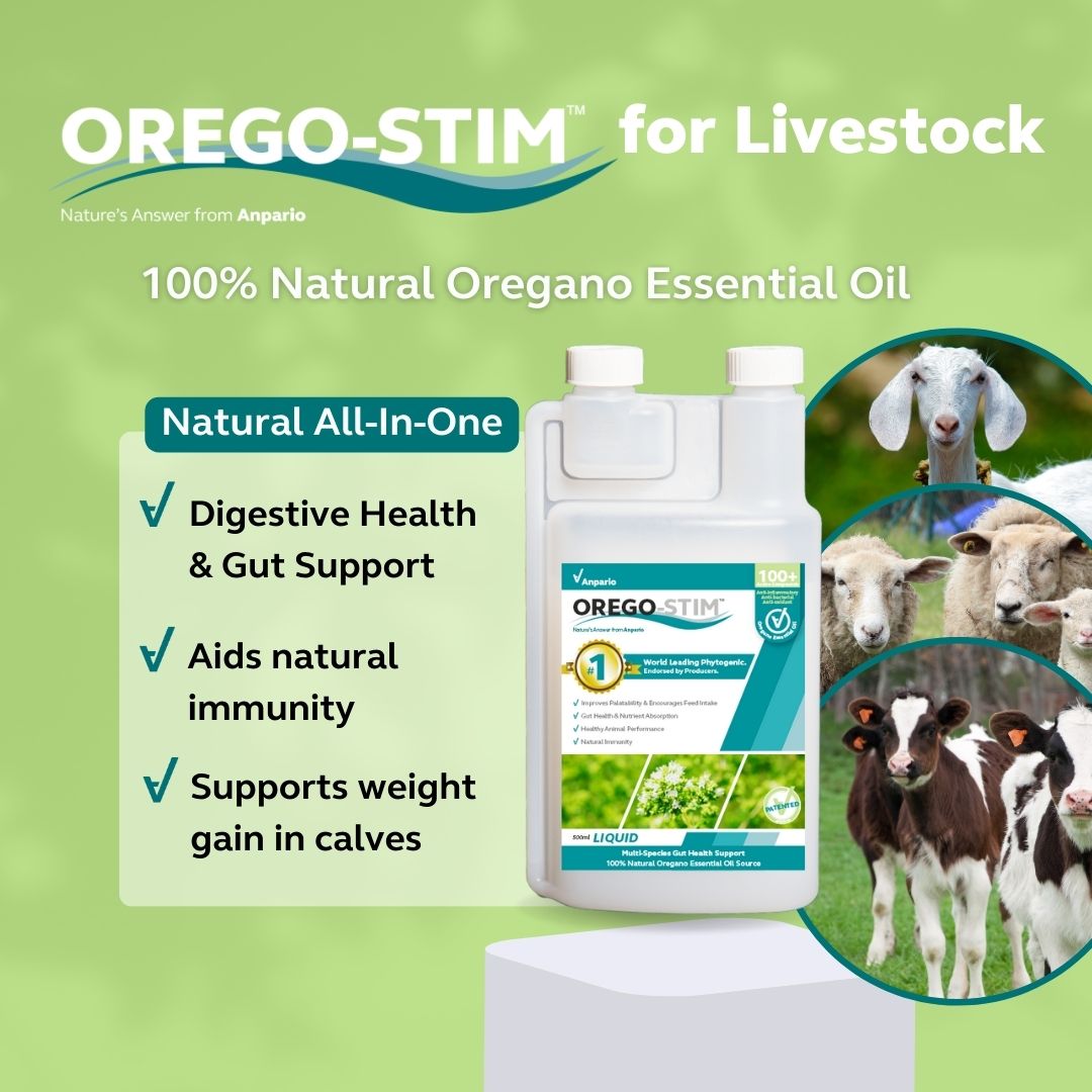 Orego-Stim Liquid for Livestock – Anpario Australia