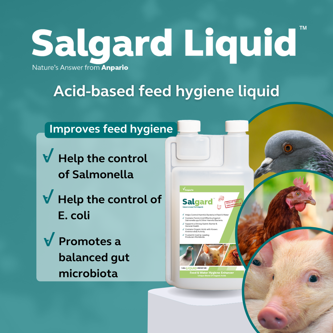 Salgard Liquid 1 Litre – Anpario Australia