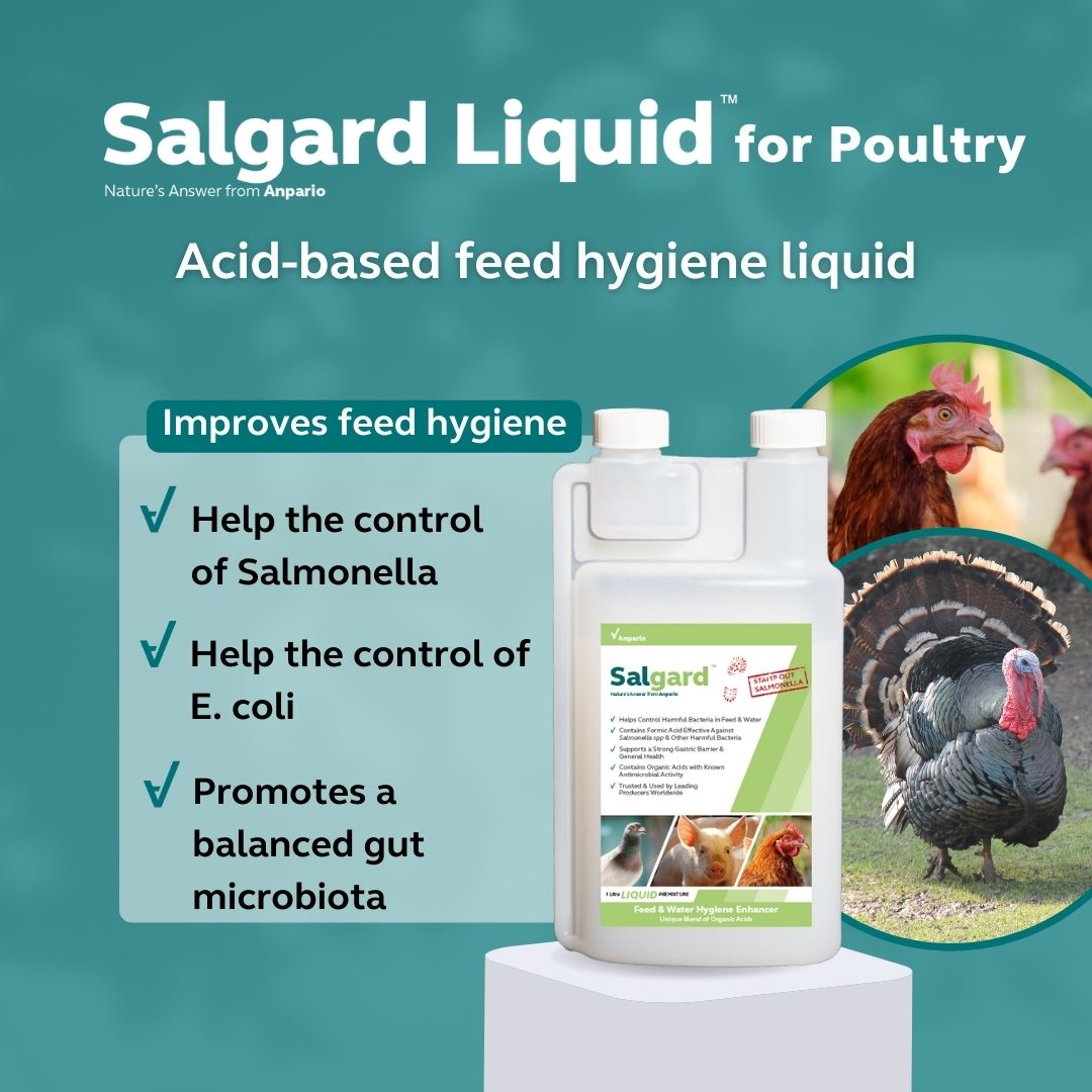Salgard Liquid for Poultry 1 Litre – Anpario Australia