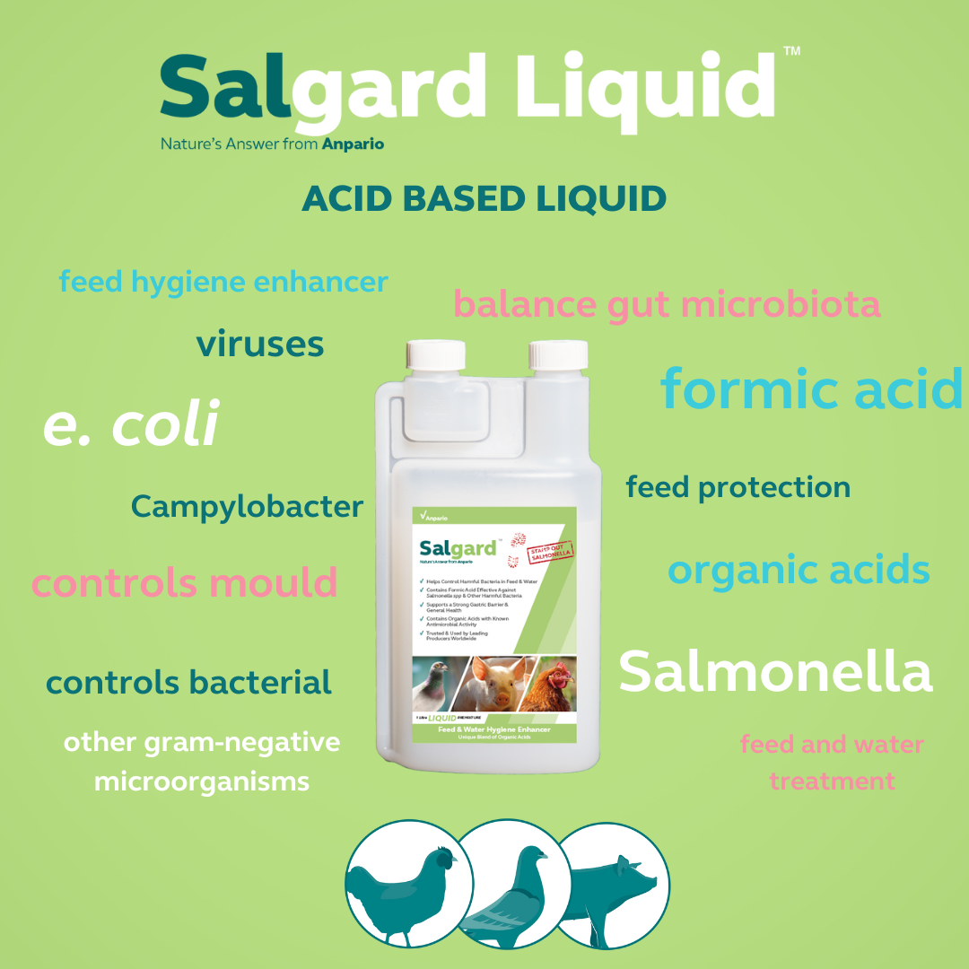 Salgard Liquid 1 Litre – Anpario Australia