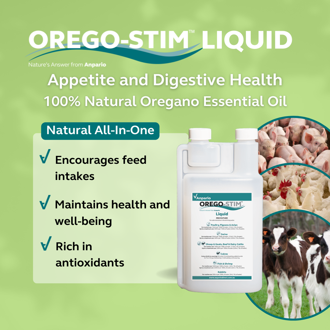 Orego-Stim Liquid – Anpario Australia